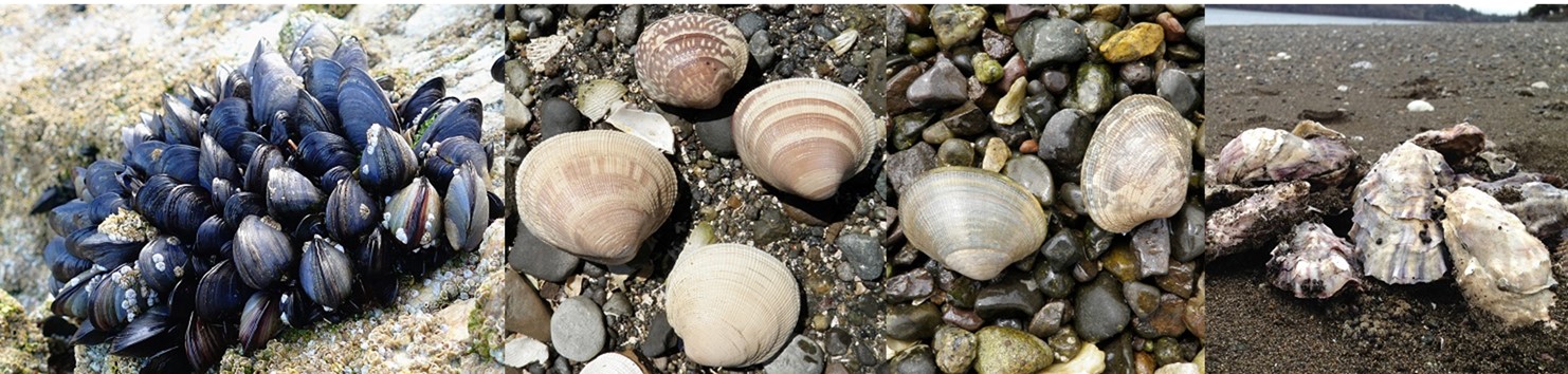 New Method Provides for Fast and Accurate Determination of Marine ...