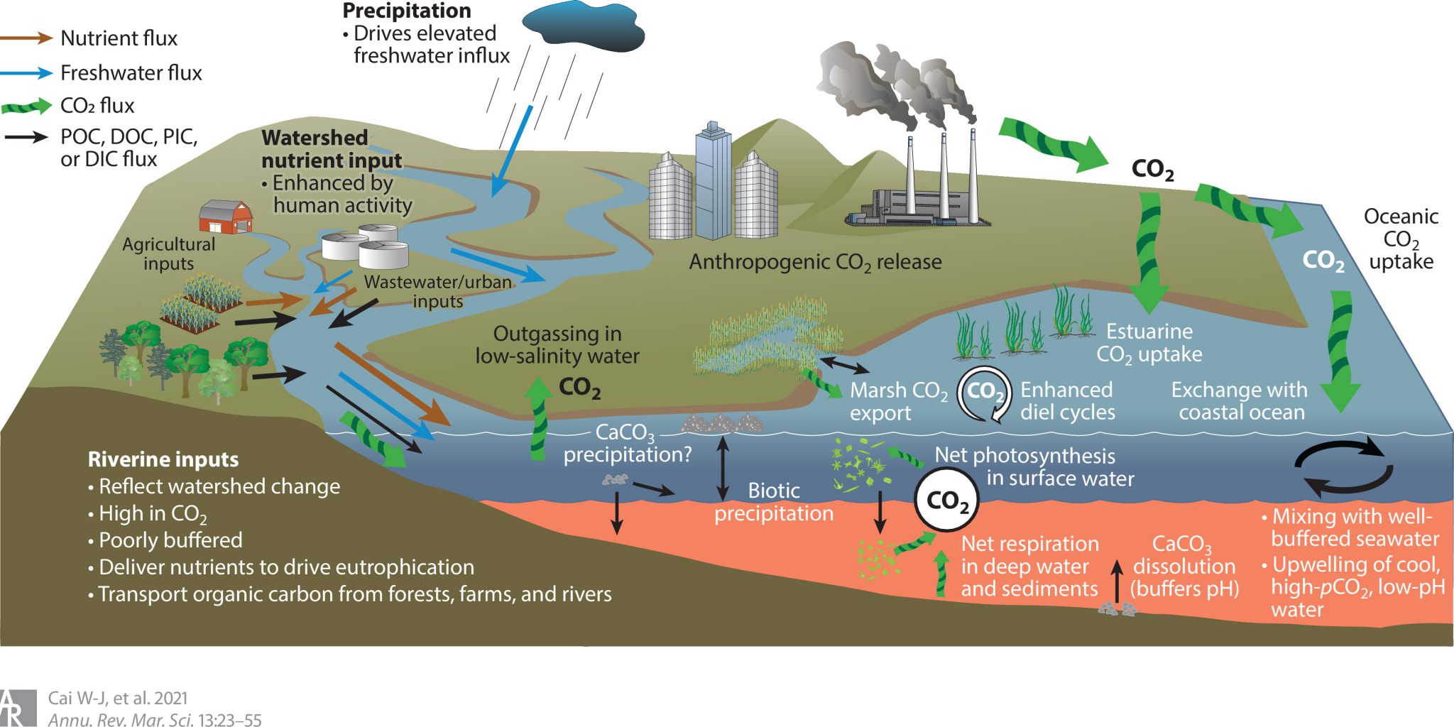 Study Reviews Causes of Acidification in Large Estuaries - NCCOS ...