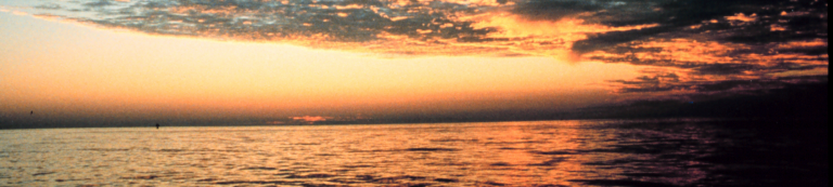 Funding Opportunities - NOAA RESTORE Science Program